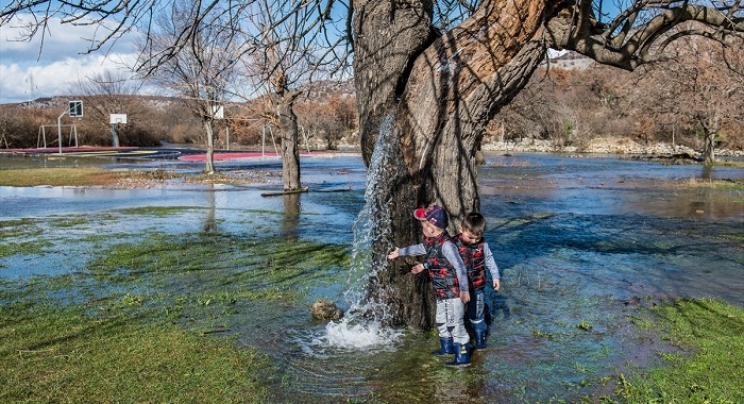 Rijedak prirodni fenomen u Crnoj Gori: Stablo duda iz kojeg izvire voda ...