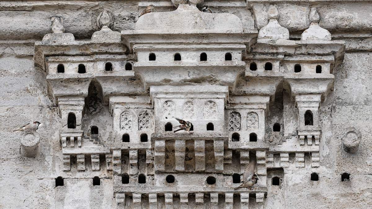 Dr. Omerhodžić: Hidžama je tradicionalna metoda provjerena savremenim ...